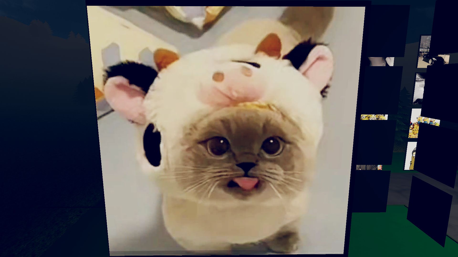 Koa @Koa_2991's Profile