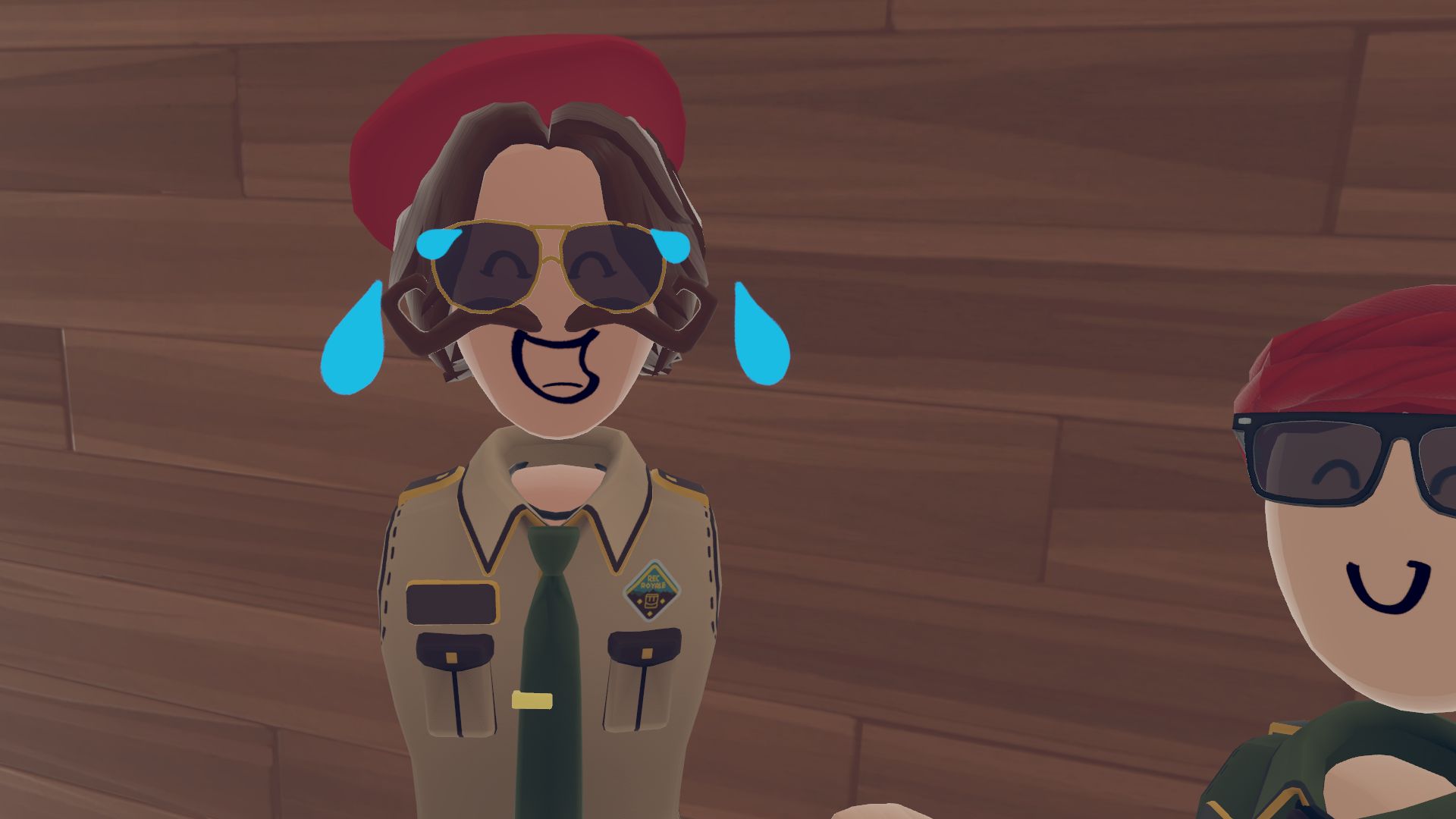Image in Rec Room