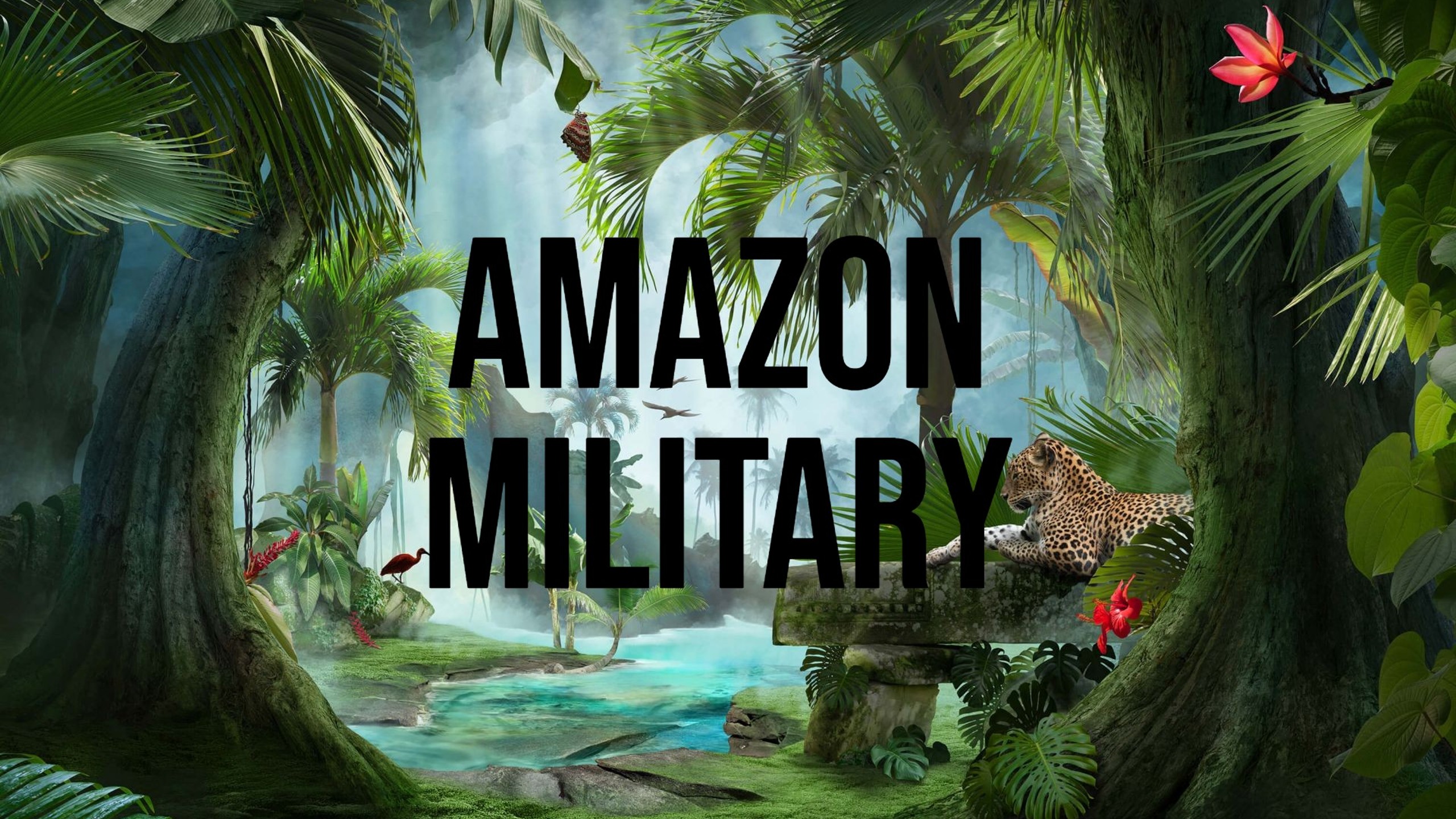 ^AmazonMilitaryRR