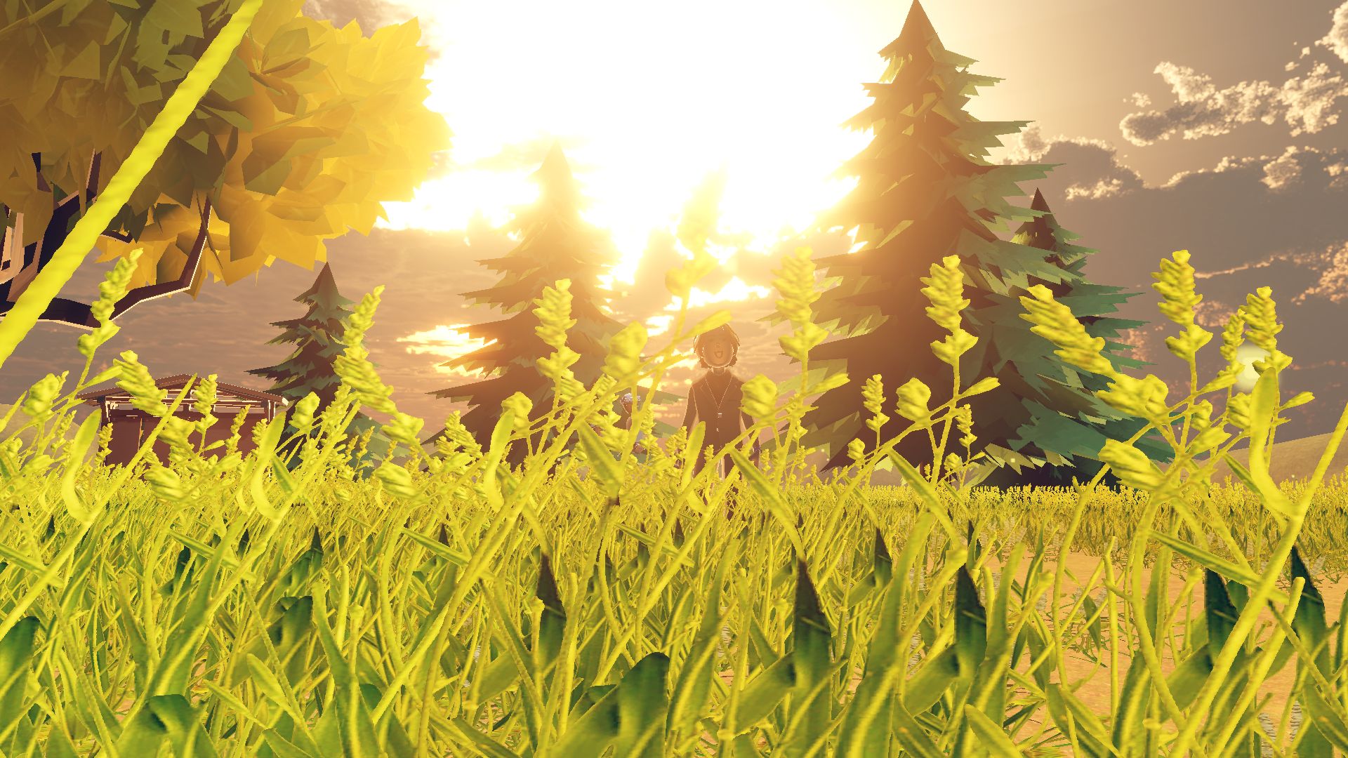 Jesus-loves-you1 @Jesus-loves-you1's Rooms