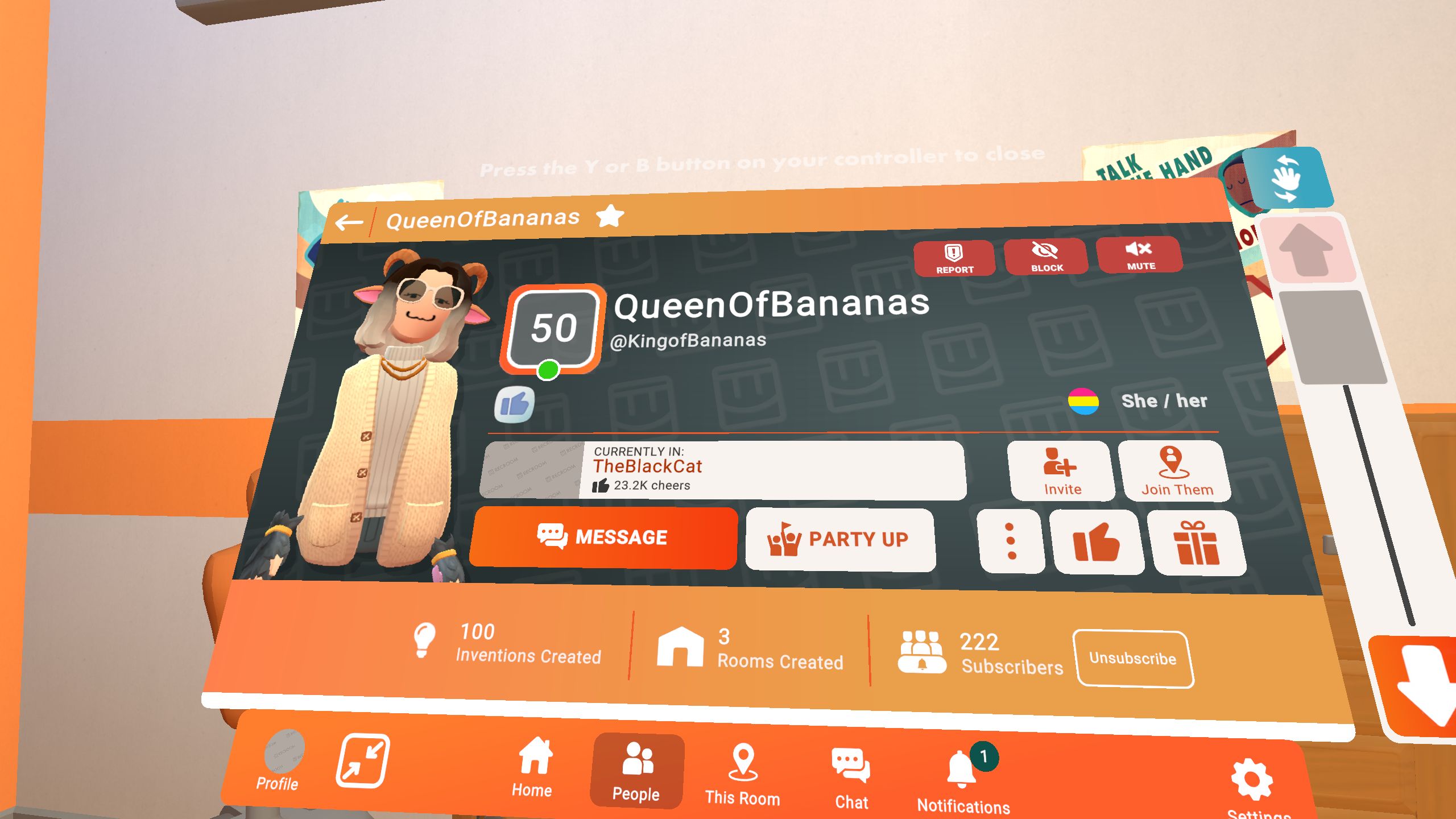 Image in Rec Room