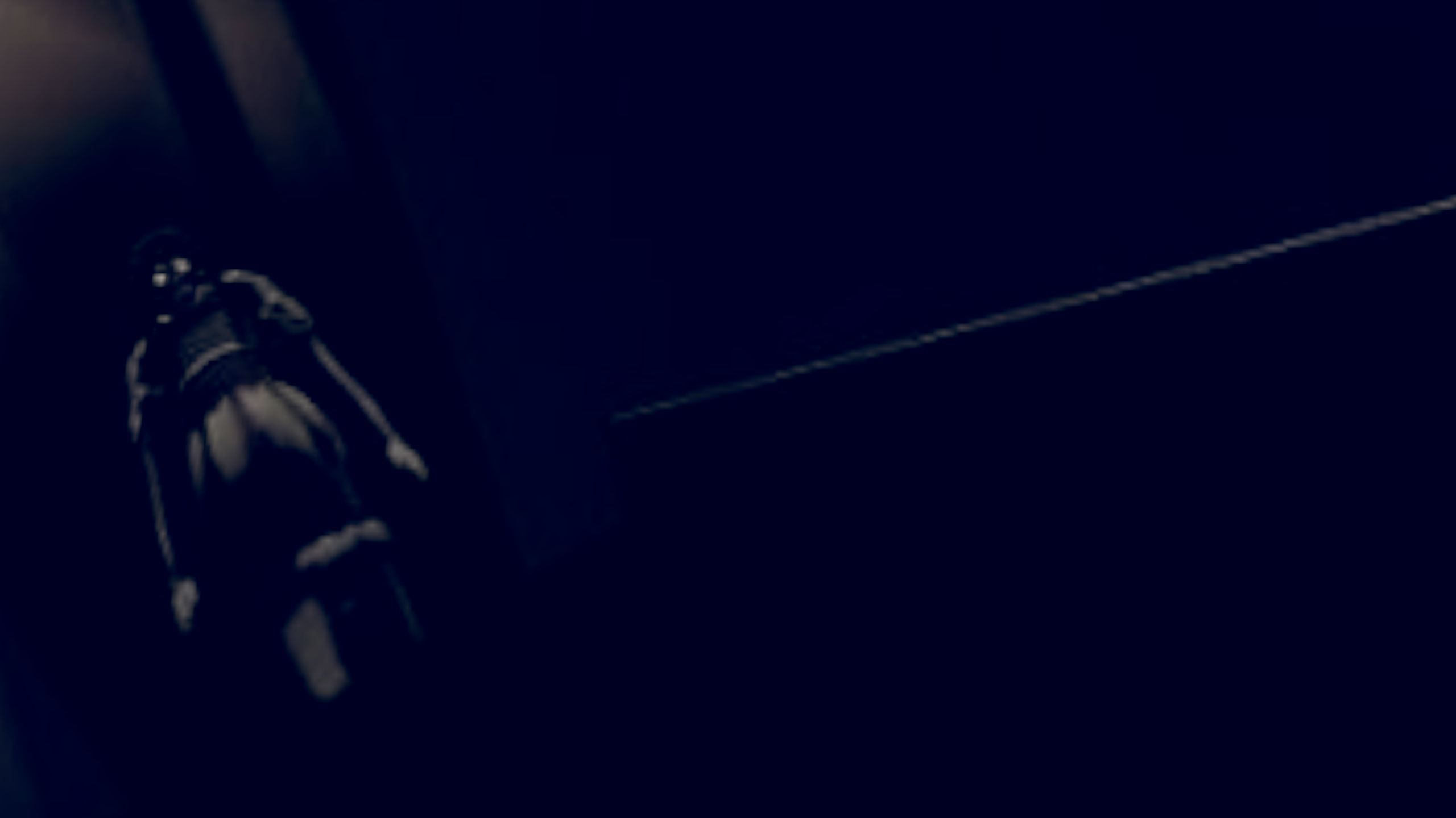 ^the-shadowed-horror