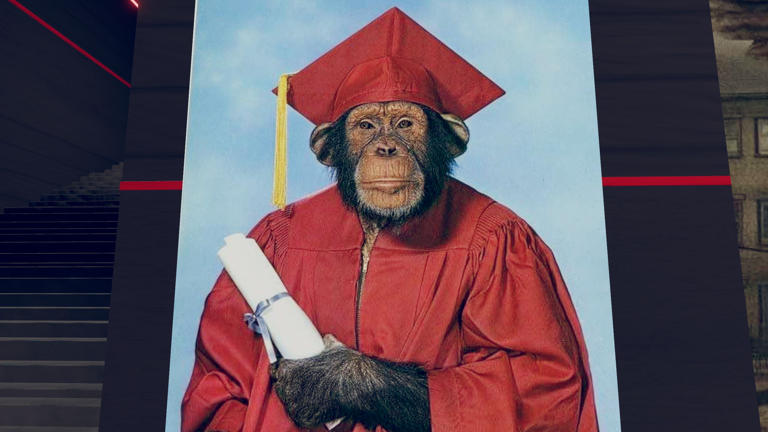 Rata_mala sida @Rata_mala