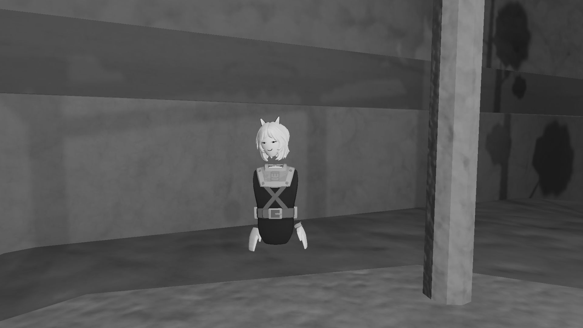 Image In Rec Room